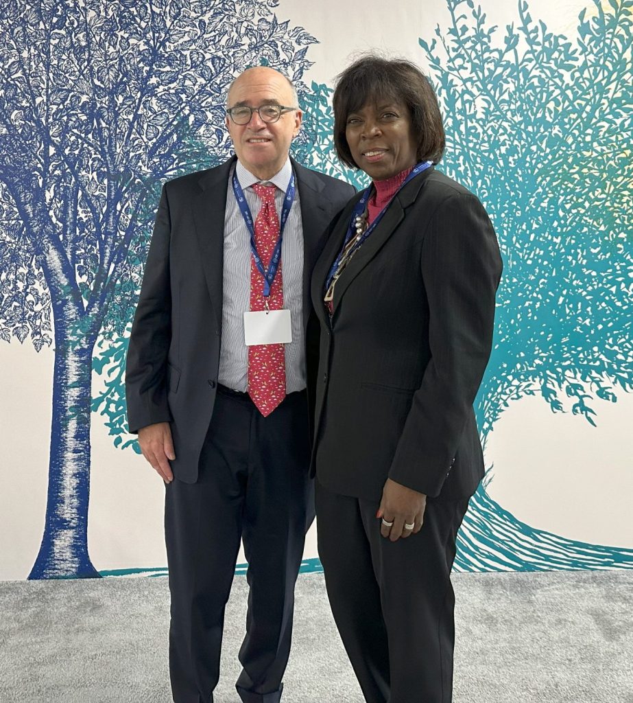 A Deeper Look At Events and Highlights During COP28 2023 - Pegasus ...